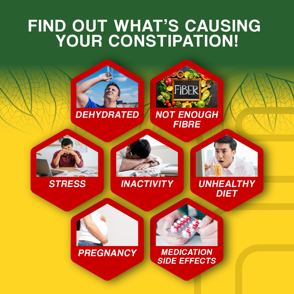 Phyto Guard Plants & Fruits With Pre & Probiotics 15s | Improve Gastro ...