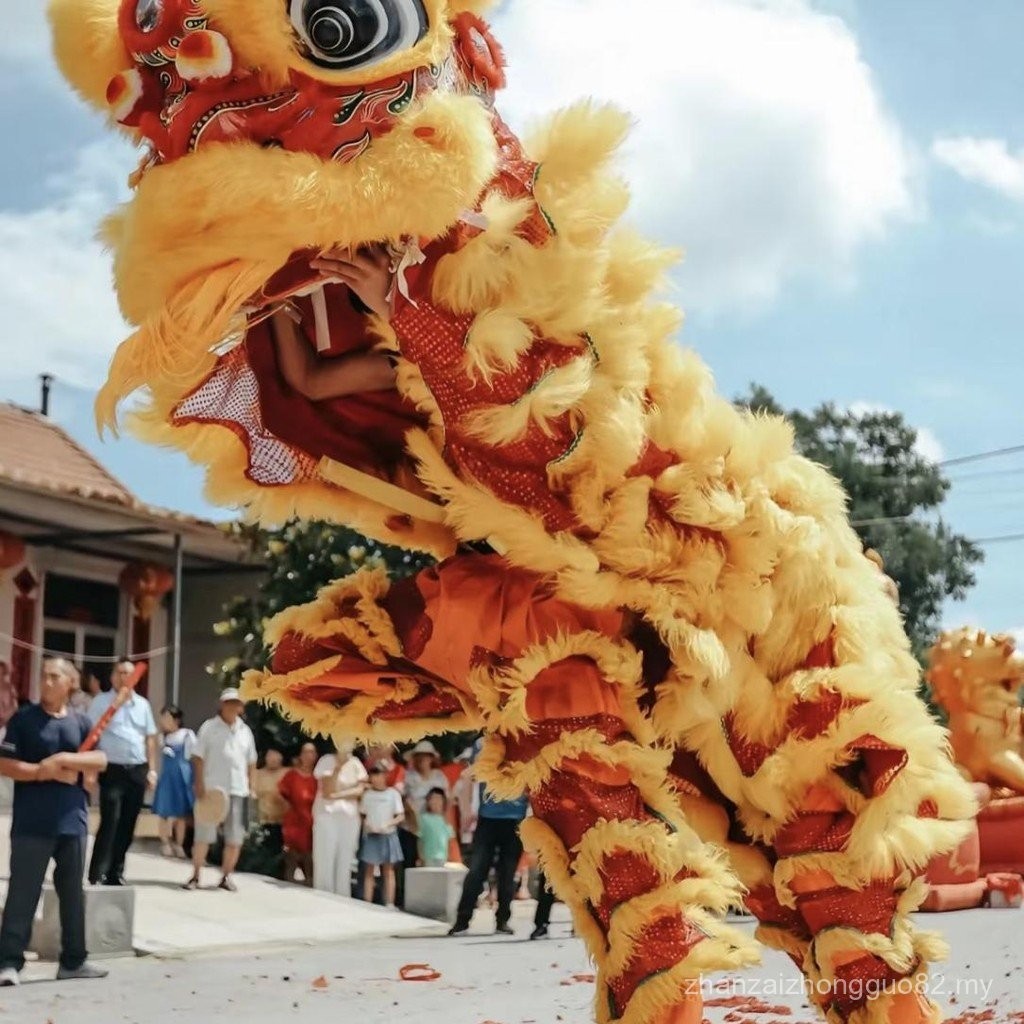 Single Lion Dance Performance Lion Head | Shopee Malaysia
