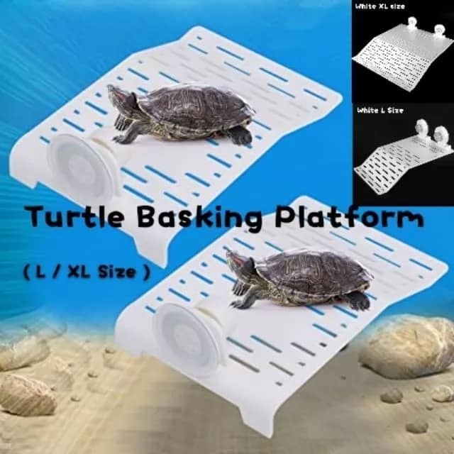 Turtle Basking Platform sunbath area S/M/L size aquarium suction turtle ...