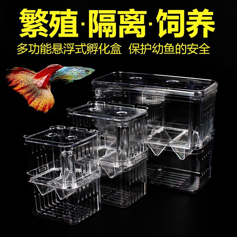 Fry Incubation Box Guppy Breeding Box Fish Tank Acrylic Self-Floating ...