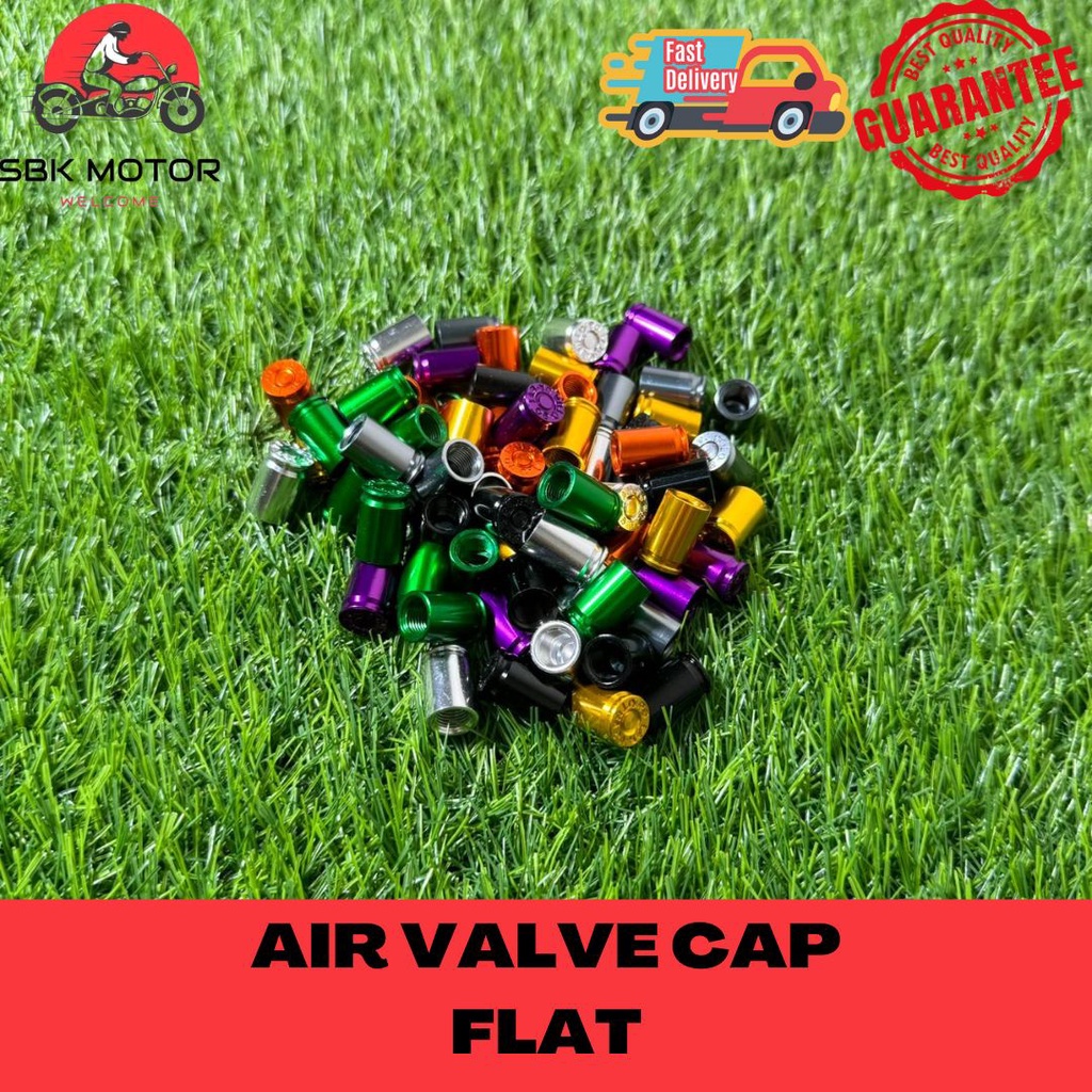 AIR VALVE CAP 2PCS ALLUMINIUM ALLOY TYRE VALVE CAP WHEEL TIRE TYRE ...