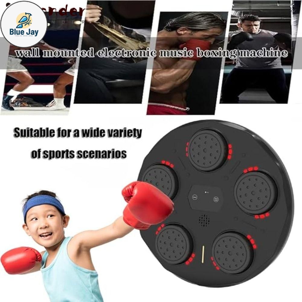 BJ Boxing Wall Target, Bluetooth Punching Pad Boxing Sports Smart Music ...