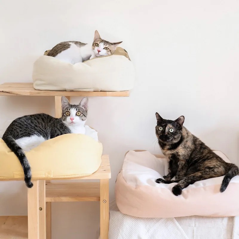 Lady Flavor Cat Bed Dog Bed Pet Bed Bean Bag Sofa