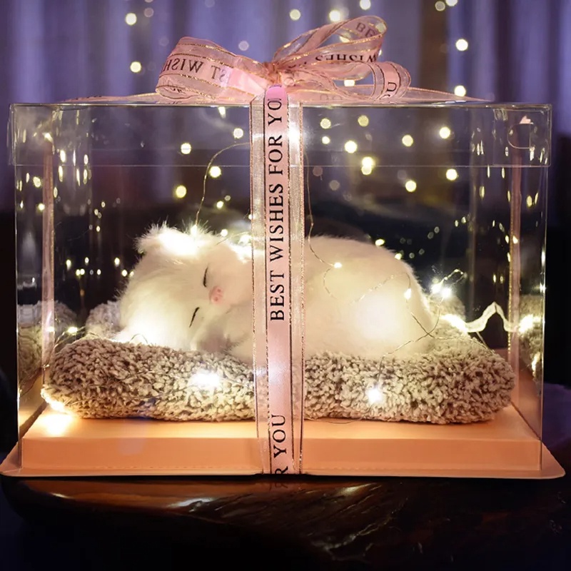 Valentine Gift Cute Cat Kucing Pet Gift Birthday Present Hadiah Sayang ...