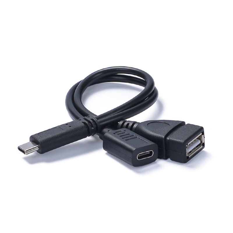 R* MultiPurpose USB C OTG Adapter and Charger Cable with Builts In IC ...