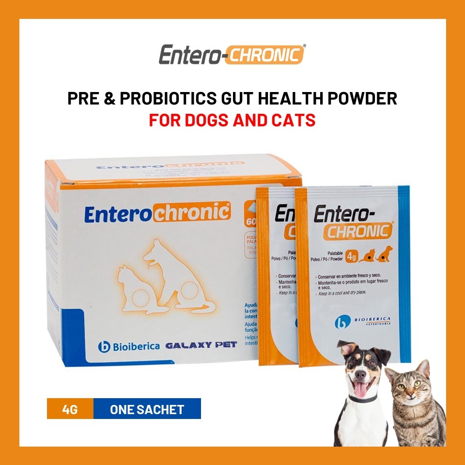 (EXP: 01/2028) Entero-Chronic 4G / 1 sachet for dog & cat (Prebiotics ...