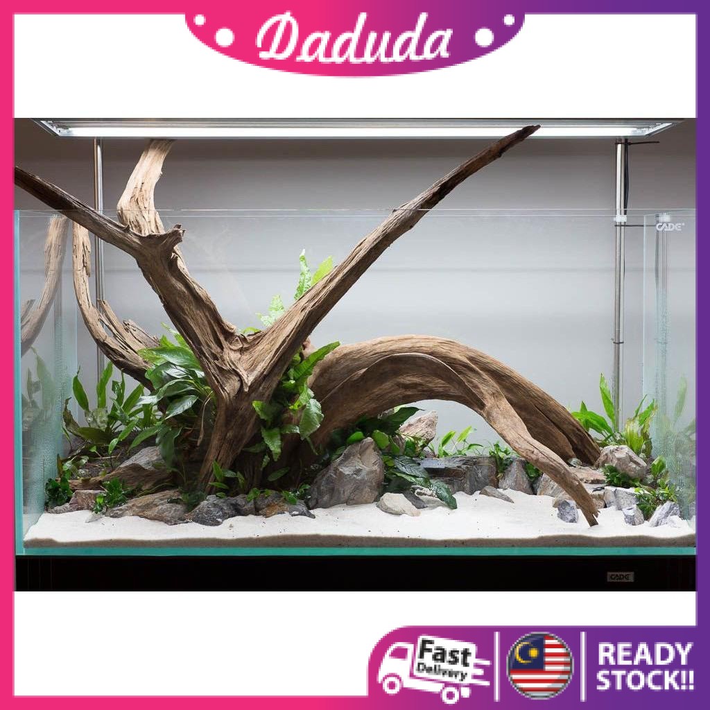 Driftwood (L 27-46cm) Random Shape for Terrarium , Fish Tank Aquarium ...