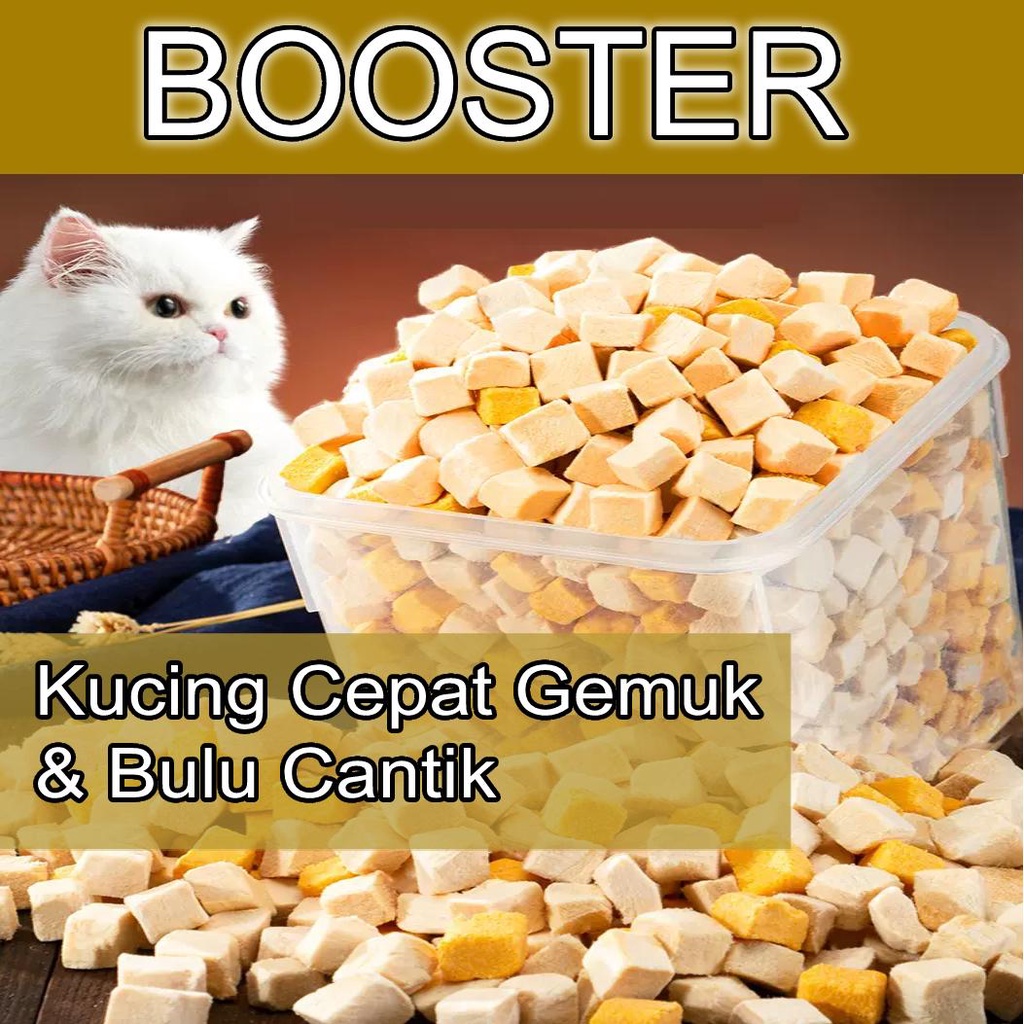 Booster Kucing Cepat Gemuk Gebu Freeze Dried Cat Food Treats Pet Snacks ...