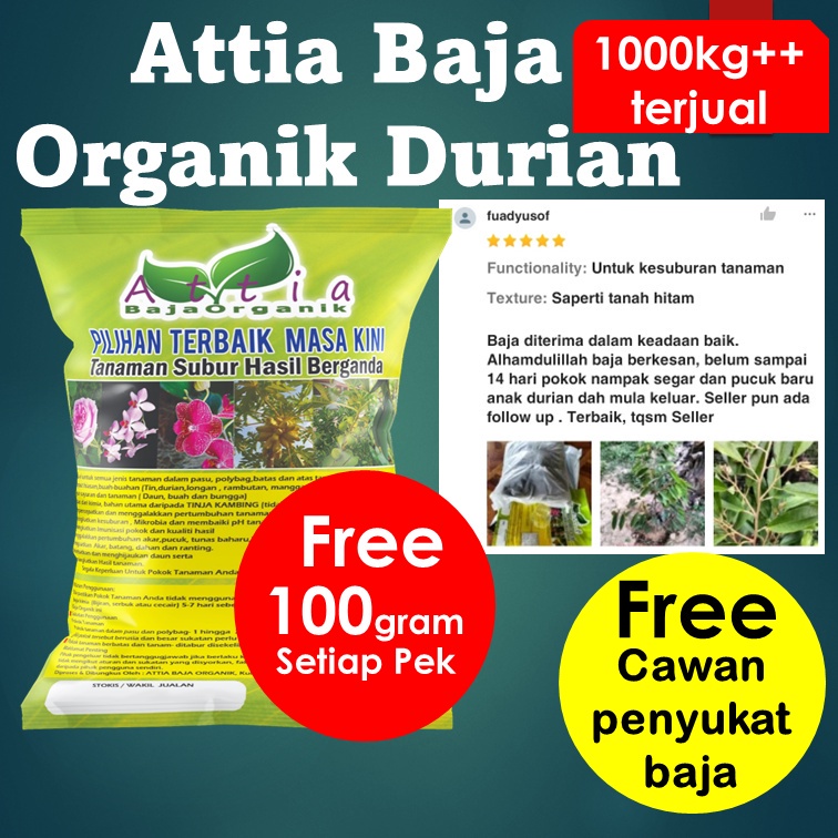 Attia Baja Organik Pokok Durian Udang Merah Duri Hitam Durian Musang ...