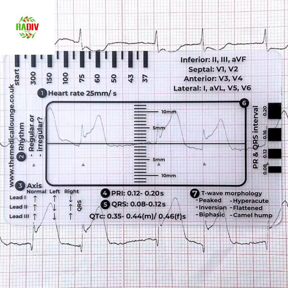 RADIV ECG 7 Step Ruler Card, Interpretation Portable Pocket Ecg/Ekg ...
