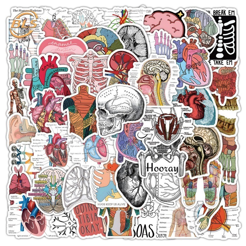 50Pcs Retro Scientific Human Anatomy Stickers - Heart Skull Medical ...