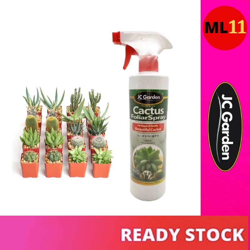 JC GARDEN Cactus Foliar Spray for Cactus Succulent Gardening Tool ...