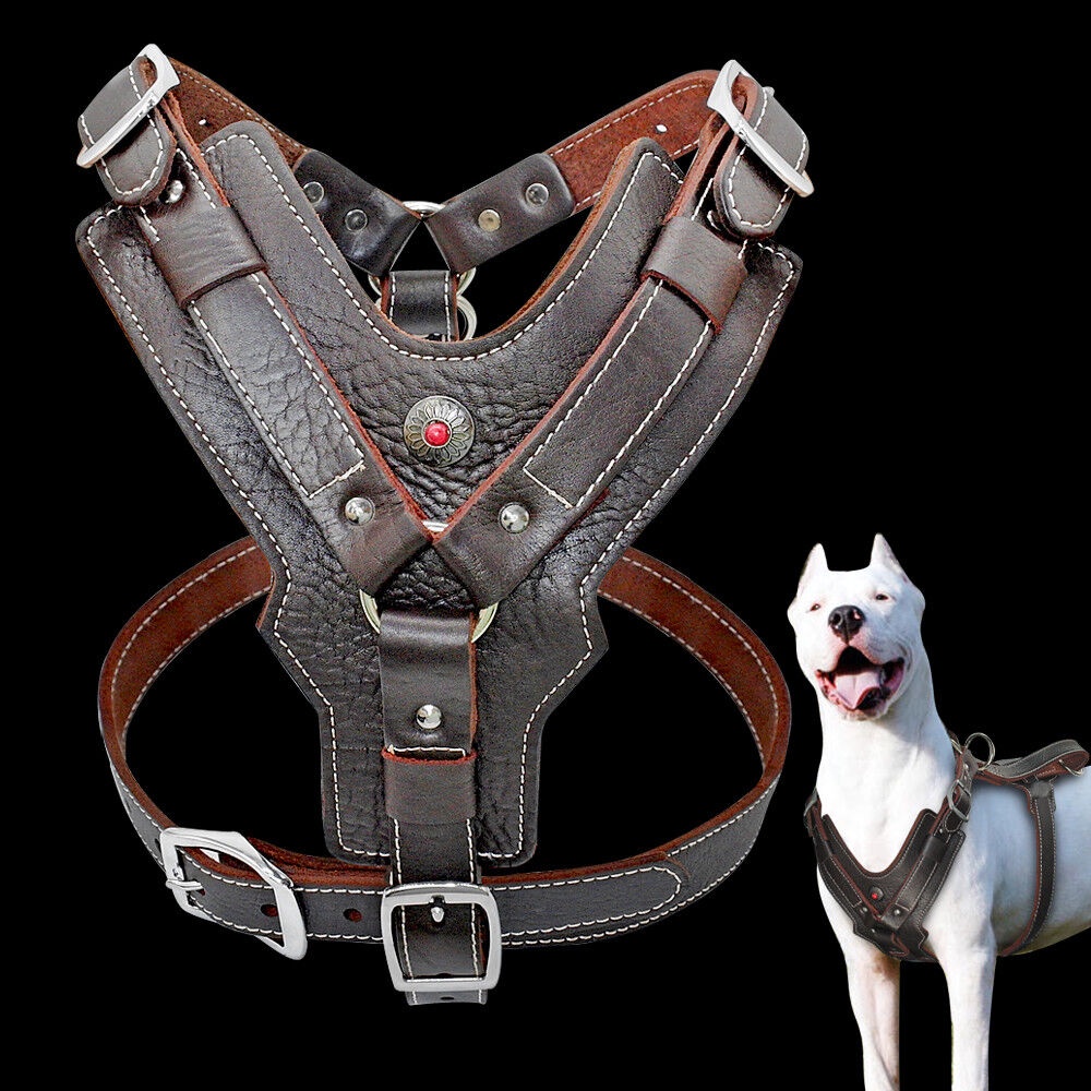 Large Dog Harness Soft Leather Adjustable Vest Heavy Duty with Control ...