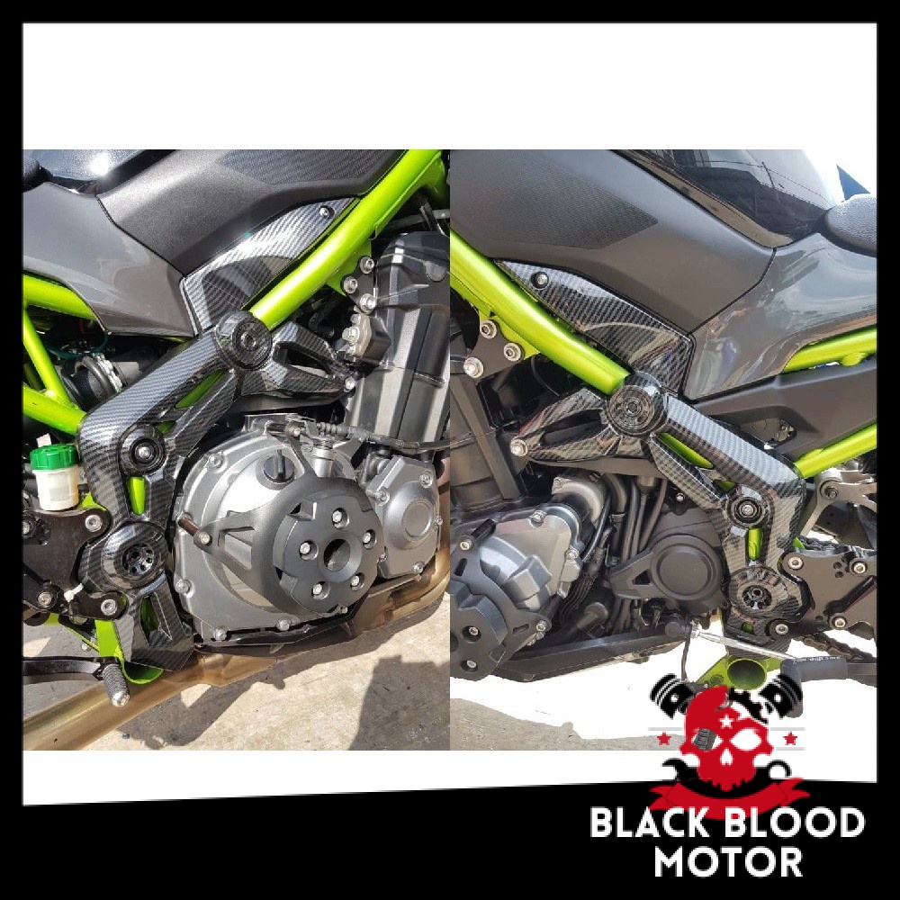 Kawasaki Z900 Body Pivot Cover Carbon Graphic Fairing Engine Side Panel ...