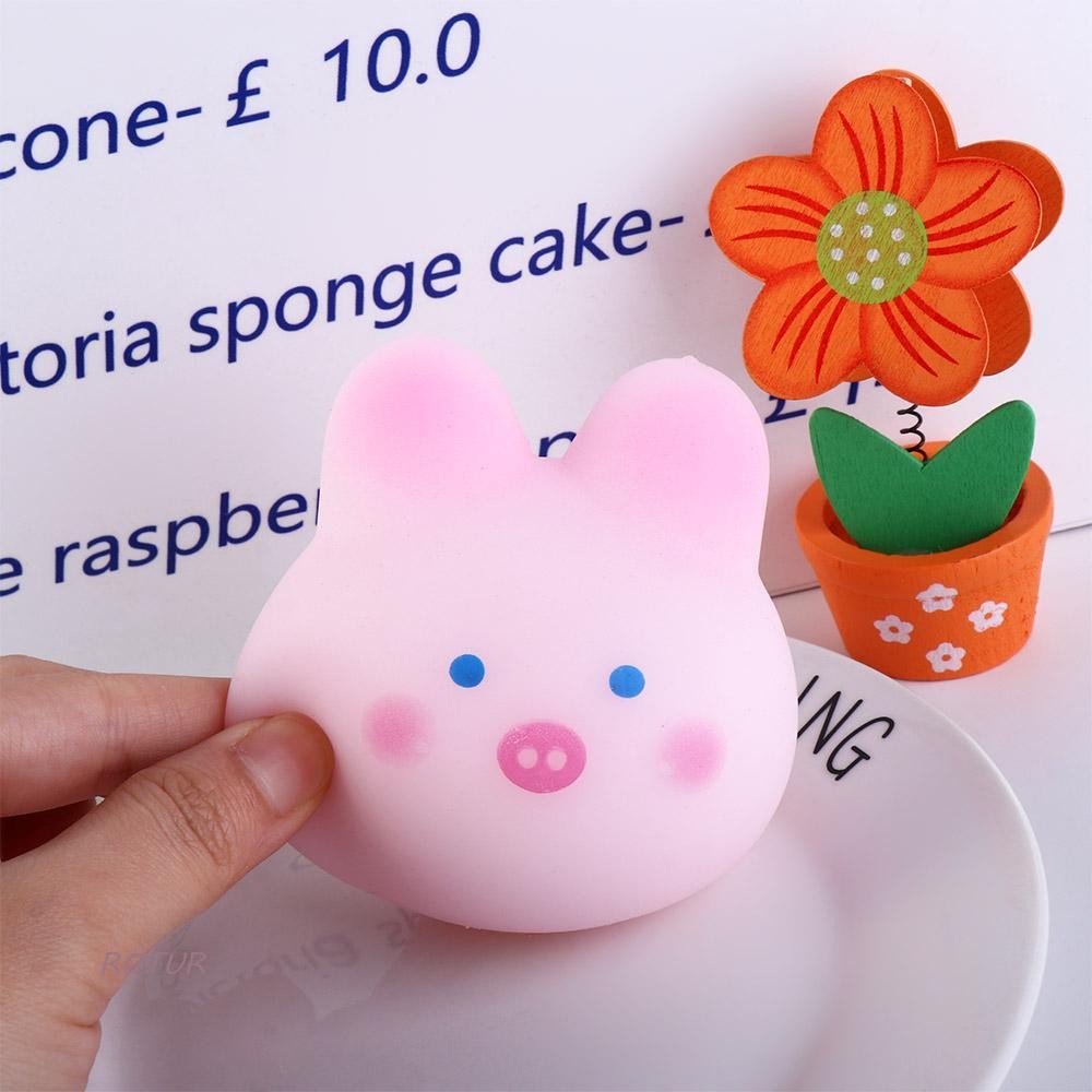 ROTUR Pink Pig Squeeze Toy, Mochi Rabbit Squeeze Pinch Toy, Vent Toys ...