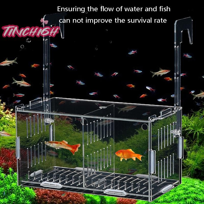 [TinchighM] Fish Tank Small Fry Breeding Box Clear Acrylic Fish ...