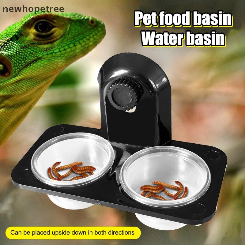 Ntmy Reptile Tank Insect Spider Ants Nest Snake Gecko Food Water ...