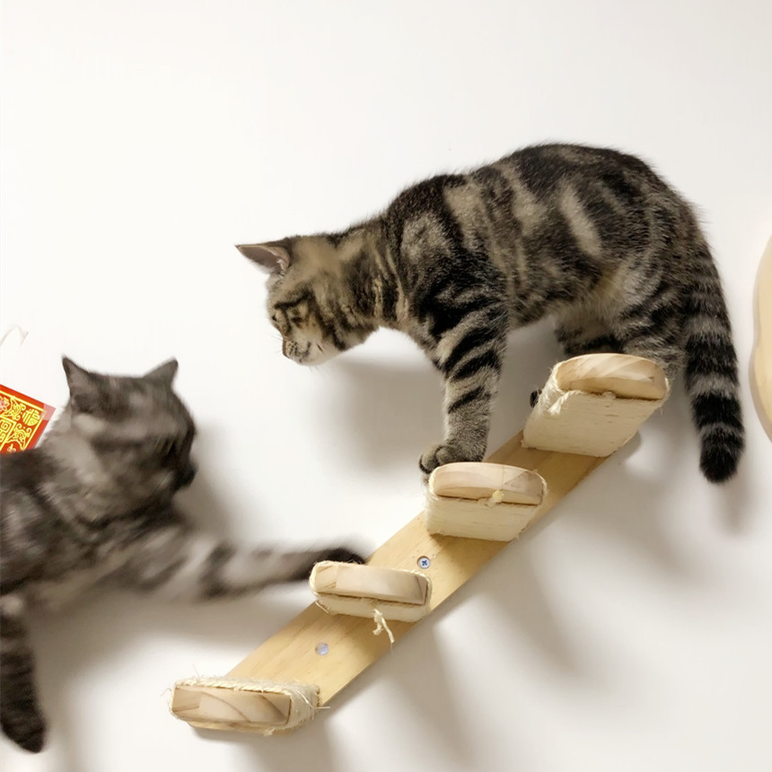 🔥[My Spot]🔥Cat Wooden Jumping Platform Cat Solid Wood Toy Wall Ladder ...