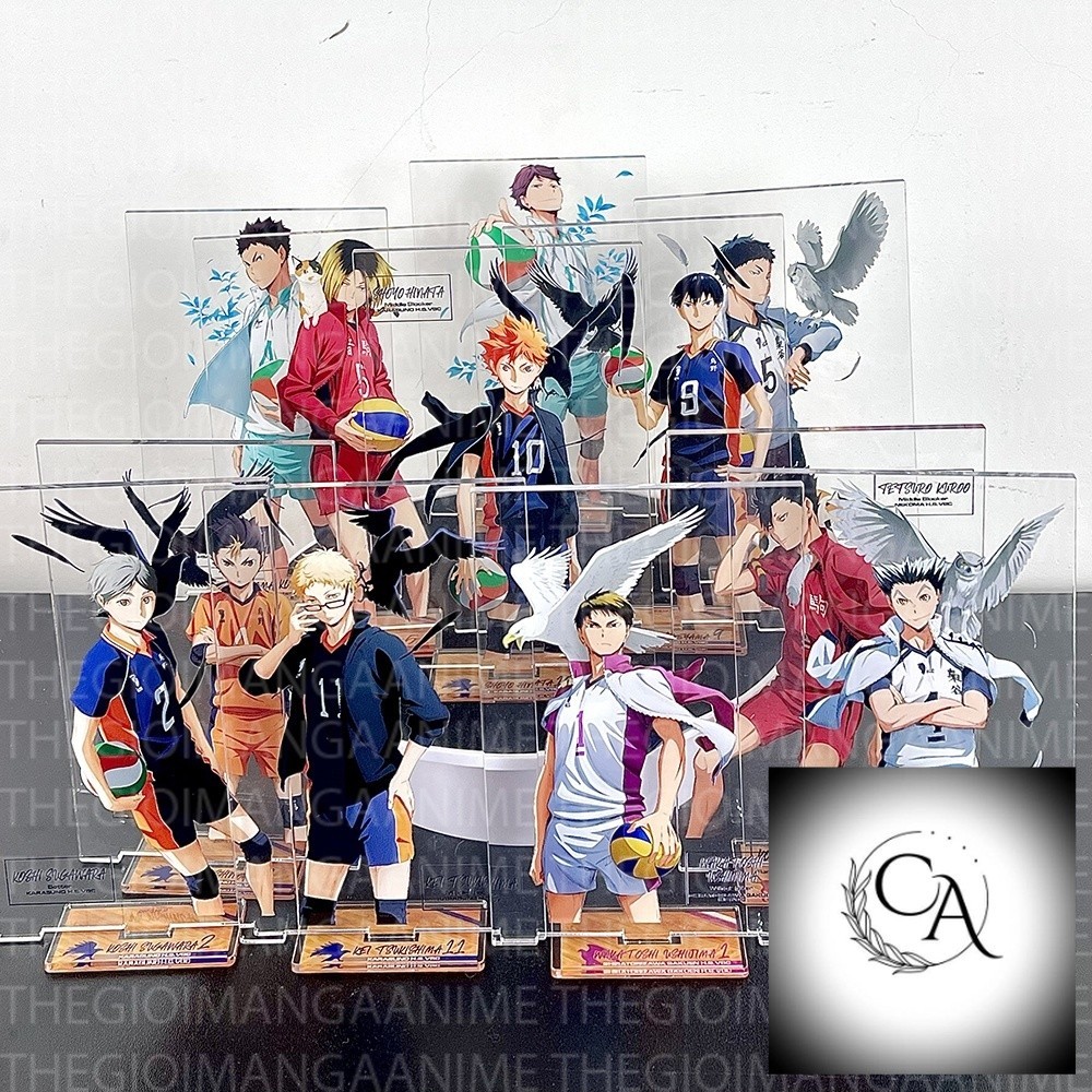 Haikyuu Standee Model!! Ver ICON Volleyball King acrylic manga anime ...