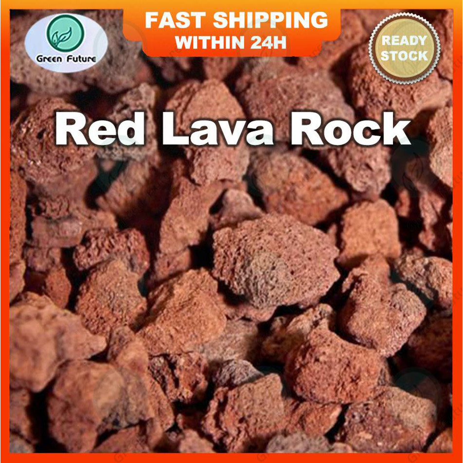 Red Lava Rock PASIR MALANG Volcanic Stone Bio Filter Media Succulent ...