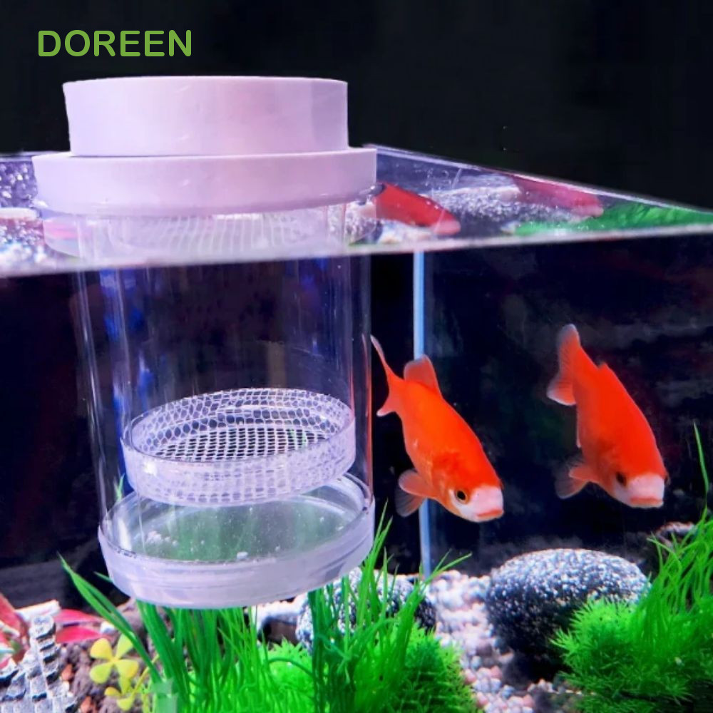 DOREEN Fish Breeding Isolation Box, Plastic White Floating Hatching Box ...