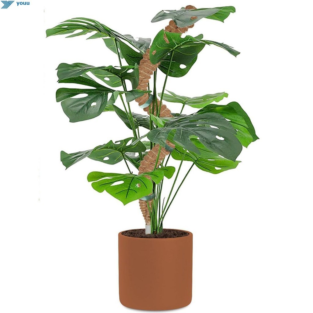 Coir Coconut Moss Stick Plants Pole Creeper Trelli Frame Plant Support ...