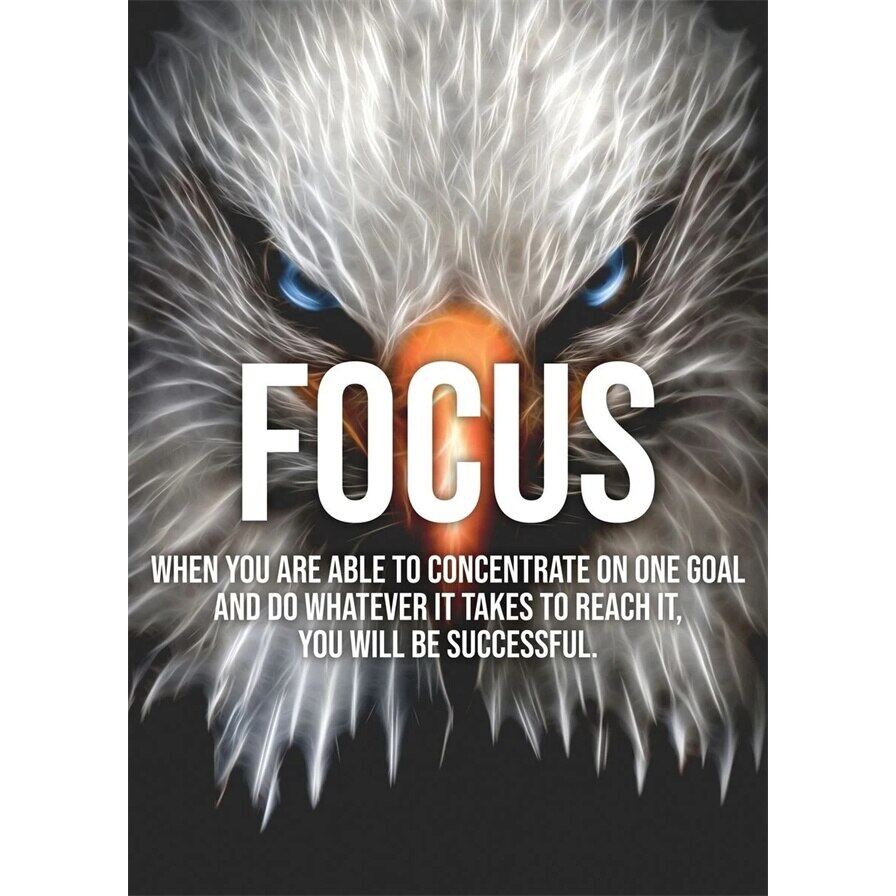 Animals Motivational Posters Eagle Wolf Lion Tiger Motivation Art ...
