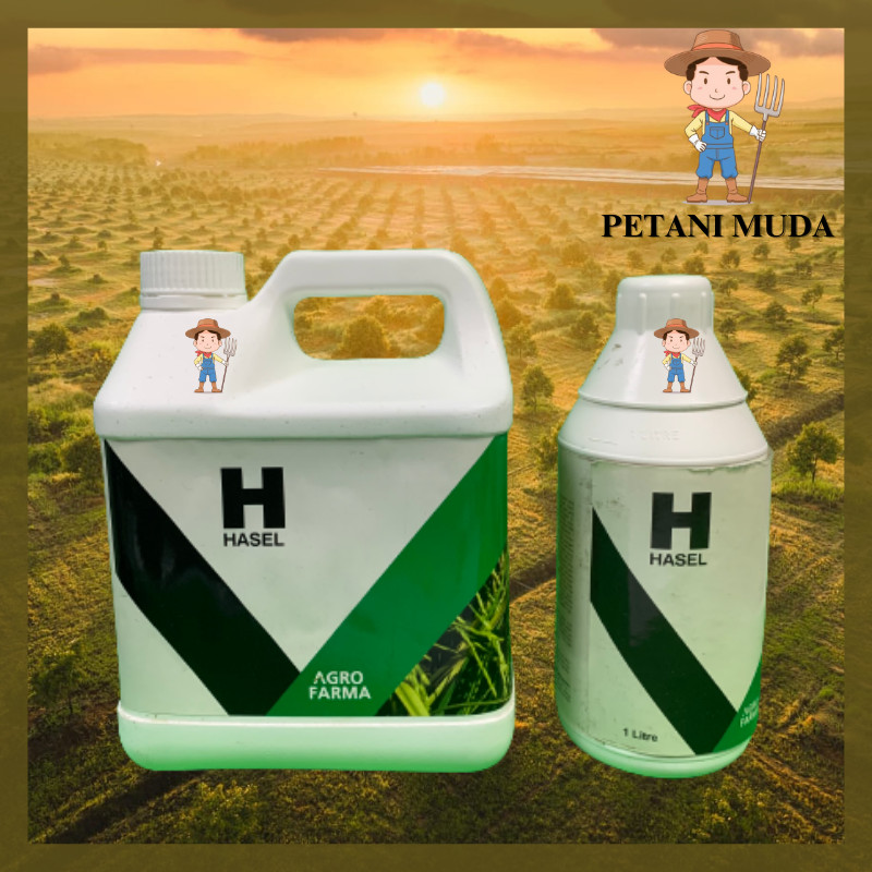 ORIGINAL] 1L 4L HASEL AGRO FARMA Baja vitamin untuk pokok dan batang ...