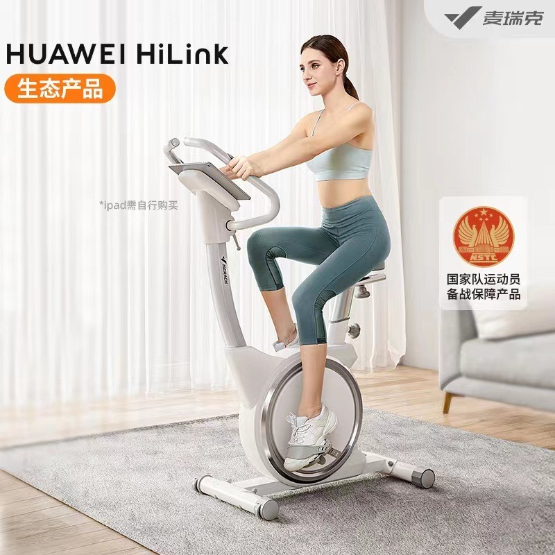 Merrick Silver Moon Spinning Bike Home Senyap Basikal Basikal Penurunan ...
