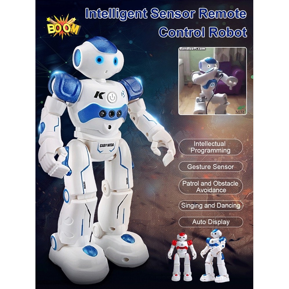 RC Robot Toy Kids Remote Control Smart Robot Gesture Control Dancing ...