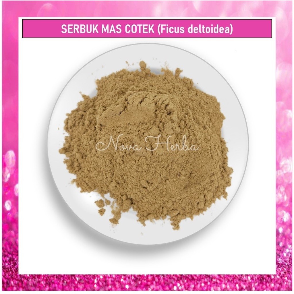 Serbuk Mas Cotek Asli (10g/50g/100g) (Ficus Deltoidea) Sempit-sempit ...