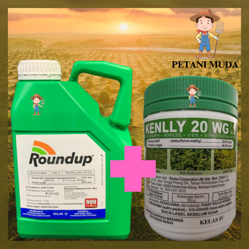 4L Roundup+ 250G KENLLY 20WG (1 SET PACKAGE) RACUN RUMPUT KEMATIAN ...