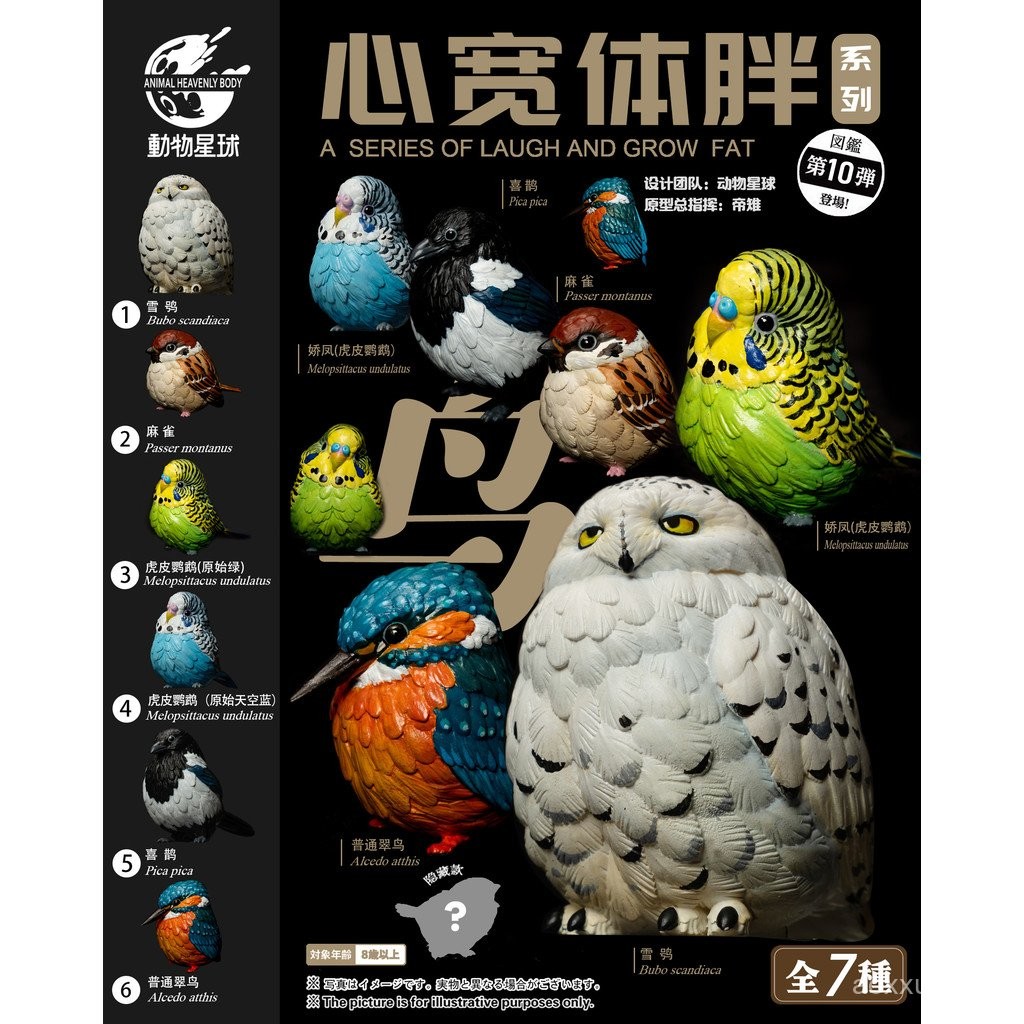 Animal Planet Heart Wide Body Fat No. 10 Model Figure Bird Watching ...