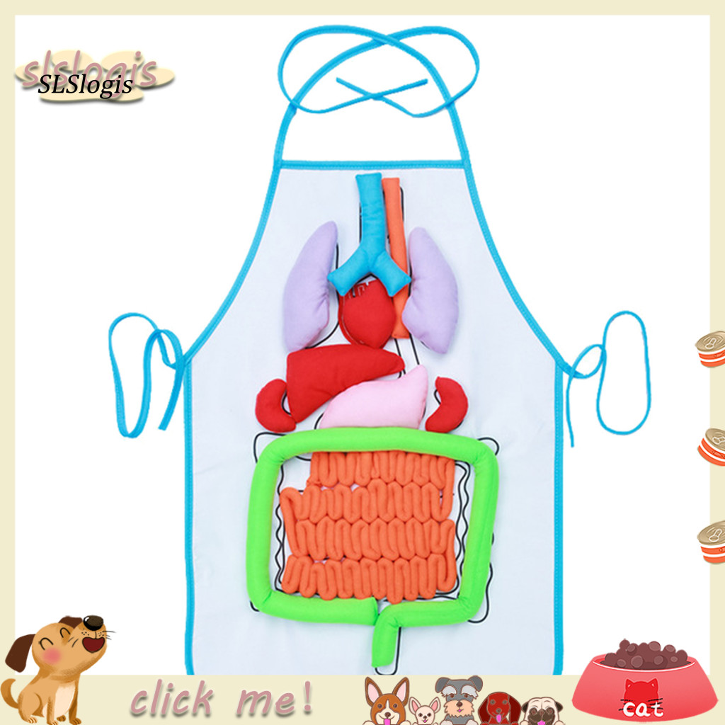 SGW_ Anatomy Apron Human Body Organ Educational Tool Children Preschool ...