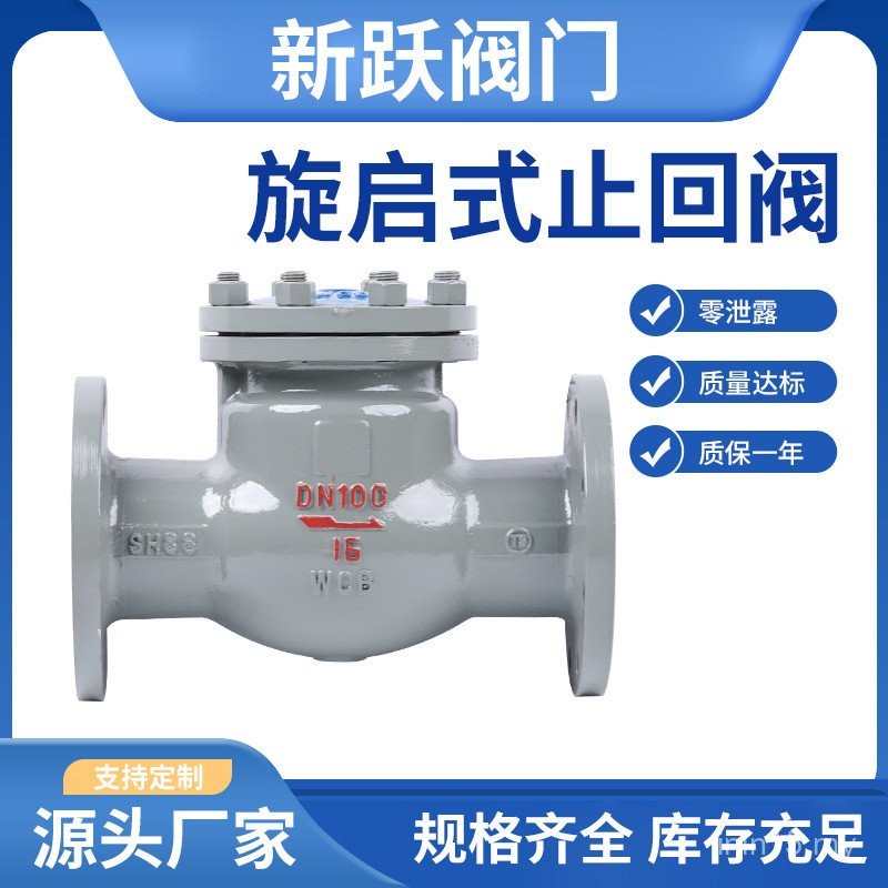 Flange Carbon Steel Rotary Check Valve H44H-16C Cast Steel Flange Check ...