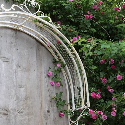 Lengkungan pulau baru bentuk rak bunga bunga memanjat bingkai batang ...