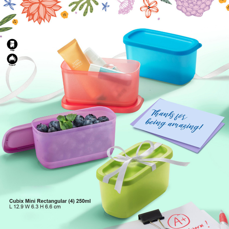 Tupperware Cubix Mini Rectangular 250ml (4pcs) / Rainbow Cubes Gift Set ...