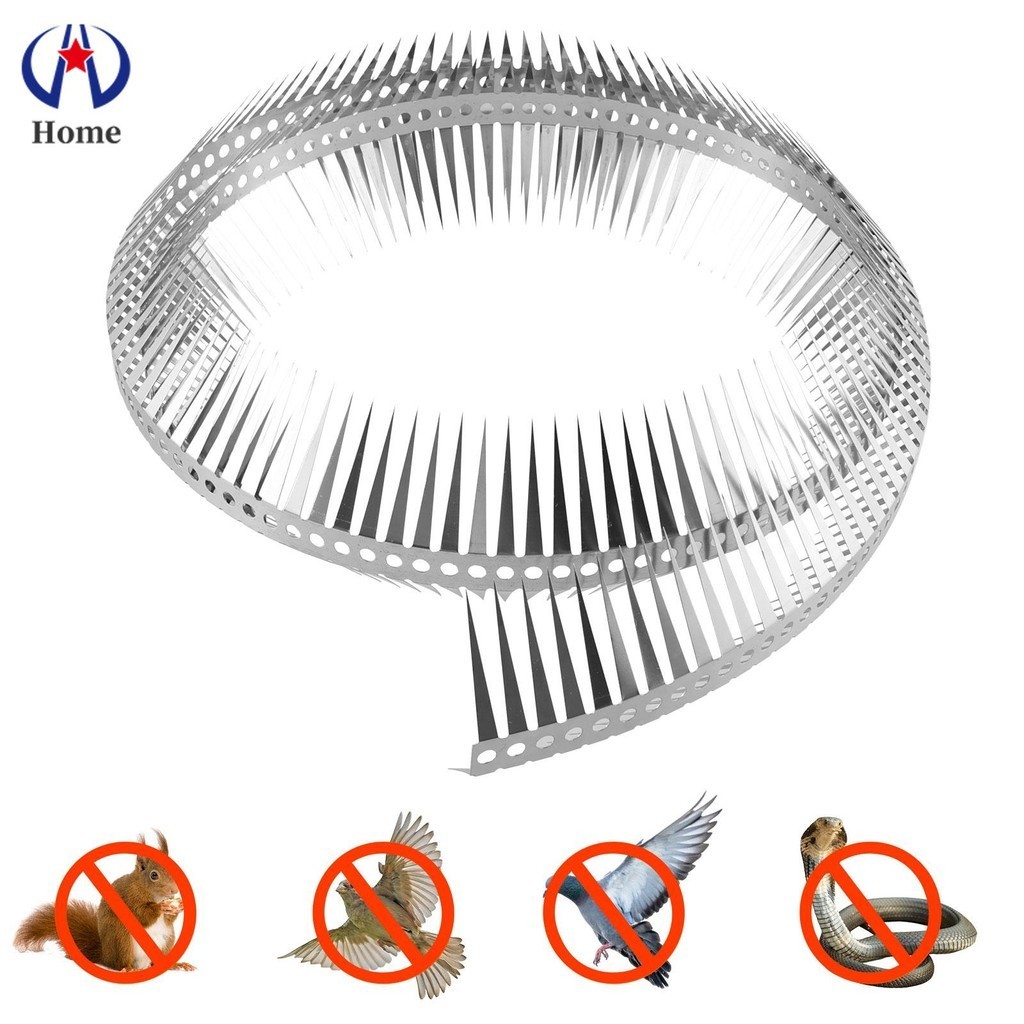 Bird Spikes 2m Bird Defender Spikes Stainless Steel Bird Deterrent ...