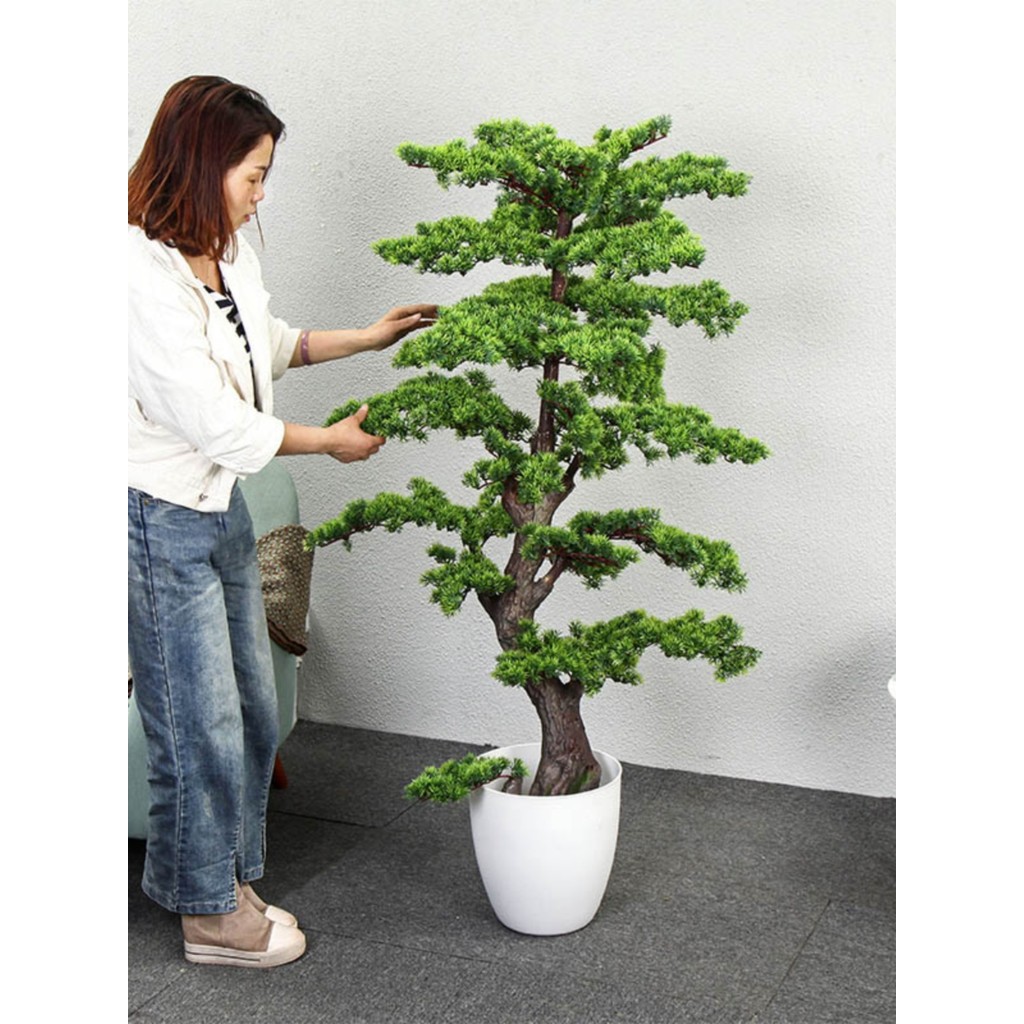 Pokok Pine Berpasu Tumbuhan Tiruan untuk Hiasan Pintu Masuk Ruang Tamu ...