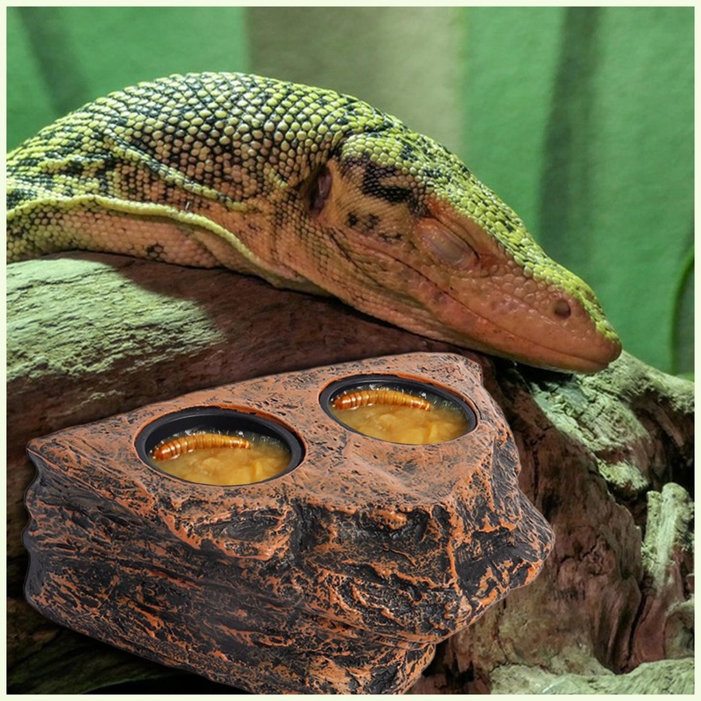 Leopard Gecko Water Dish 2 Cups Imitation Rock Bowl Aquarium Decoration ...
