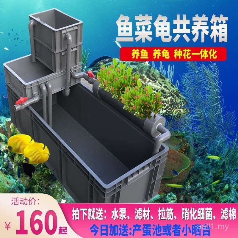 Turtle Tank Plastic Thickened Extra Large with Circulation Filter ...