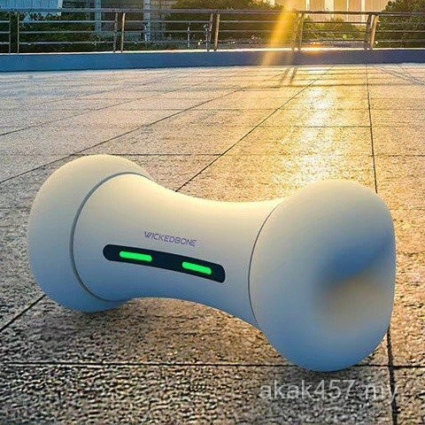 Wickedbone Smart Pet Bone Toy Pet Interactive Artificial Intelligence ...