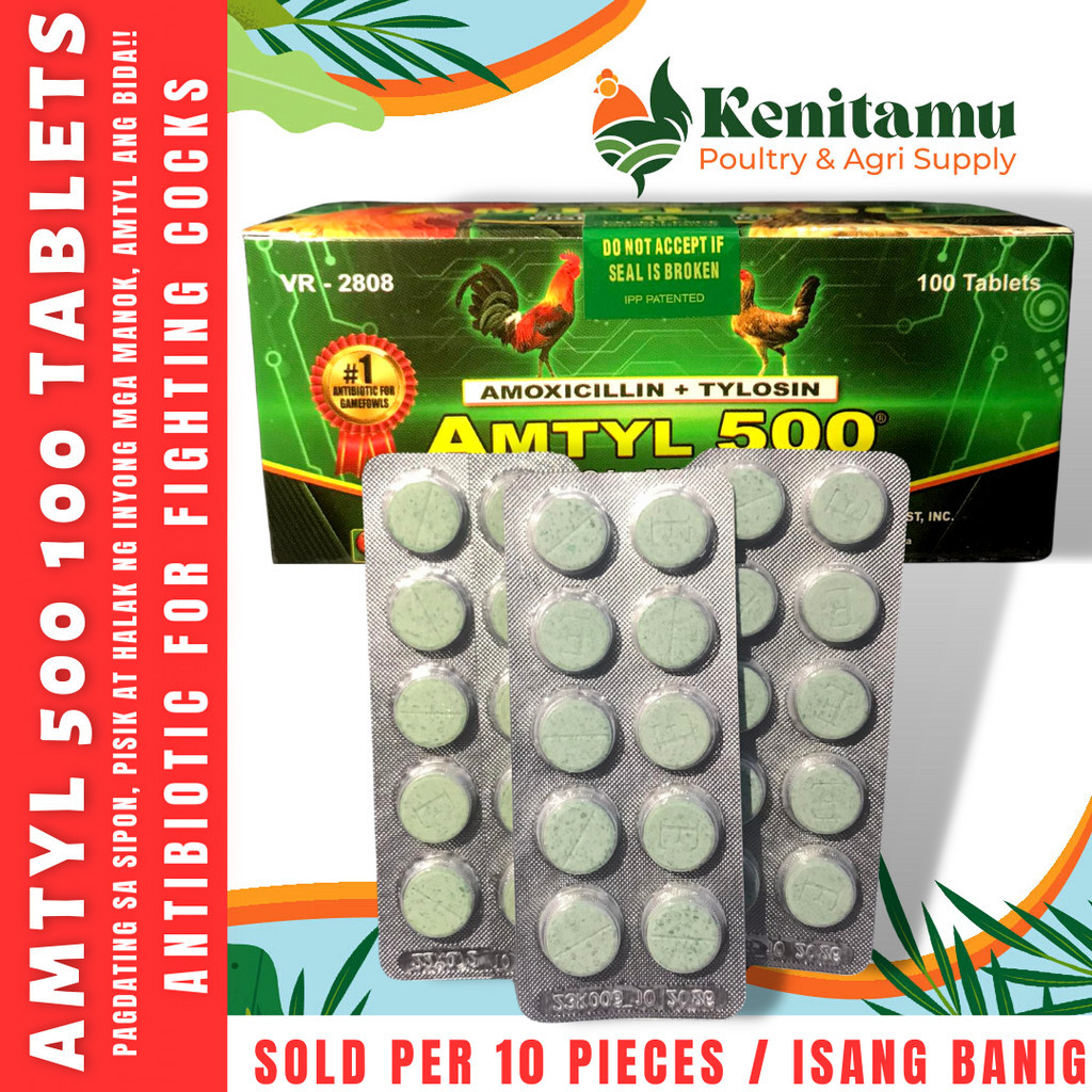 EXCELLENCE AMTYL 500 - ANTIBIOTIC FOR YOUR FIGHTING COCKS- SOLD PER 10 ...
