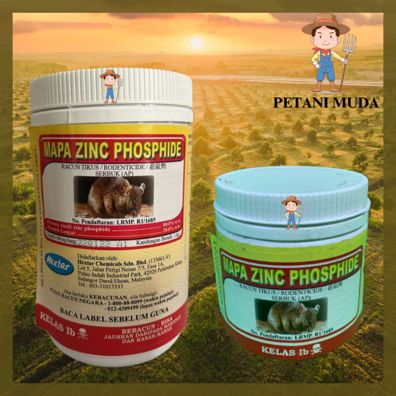 [ORIGINAL] 250G 1KG Mapa Zinc Phosphide Racun Tikus Serbuk Hitam Sesuai ...
