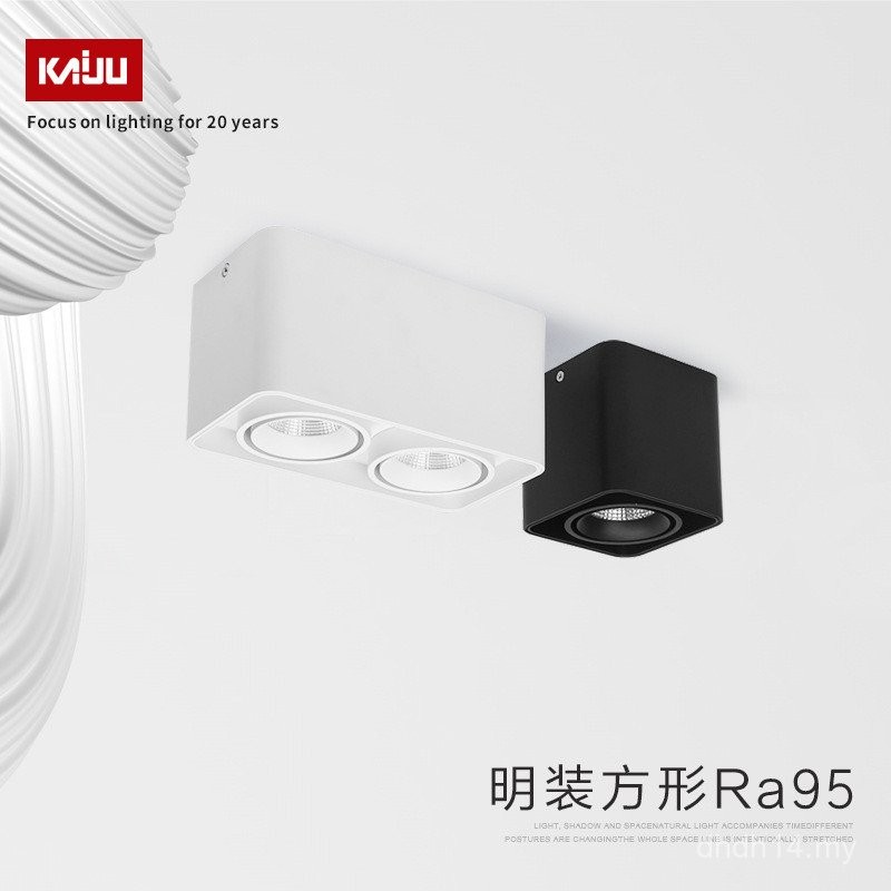 Square COB Surface Mounted Downlight led Double-Headed Downlight ...