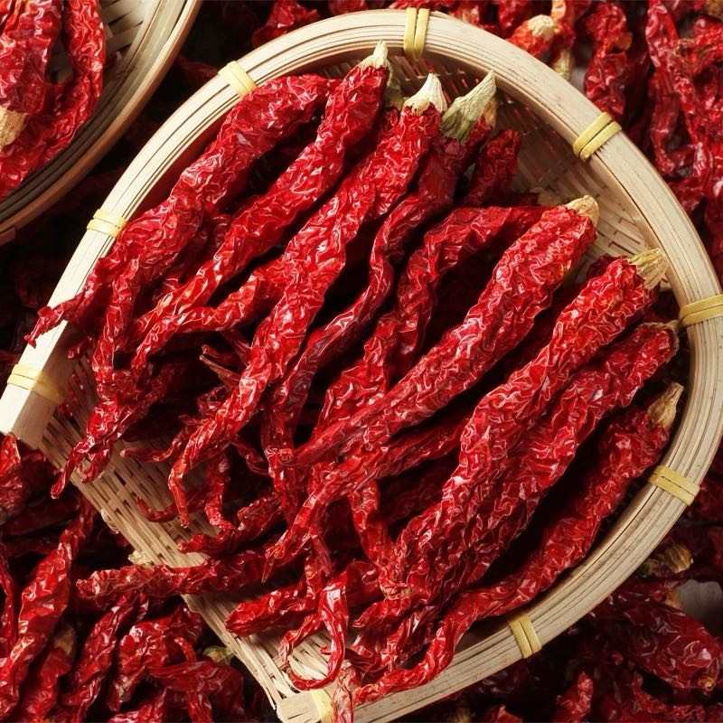 Cili Pedas Khas Xinjiang Lada Garisan Anji Hai Sha Wan Lada Tulen ...