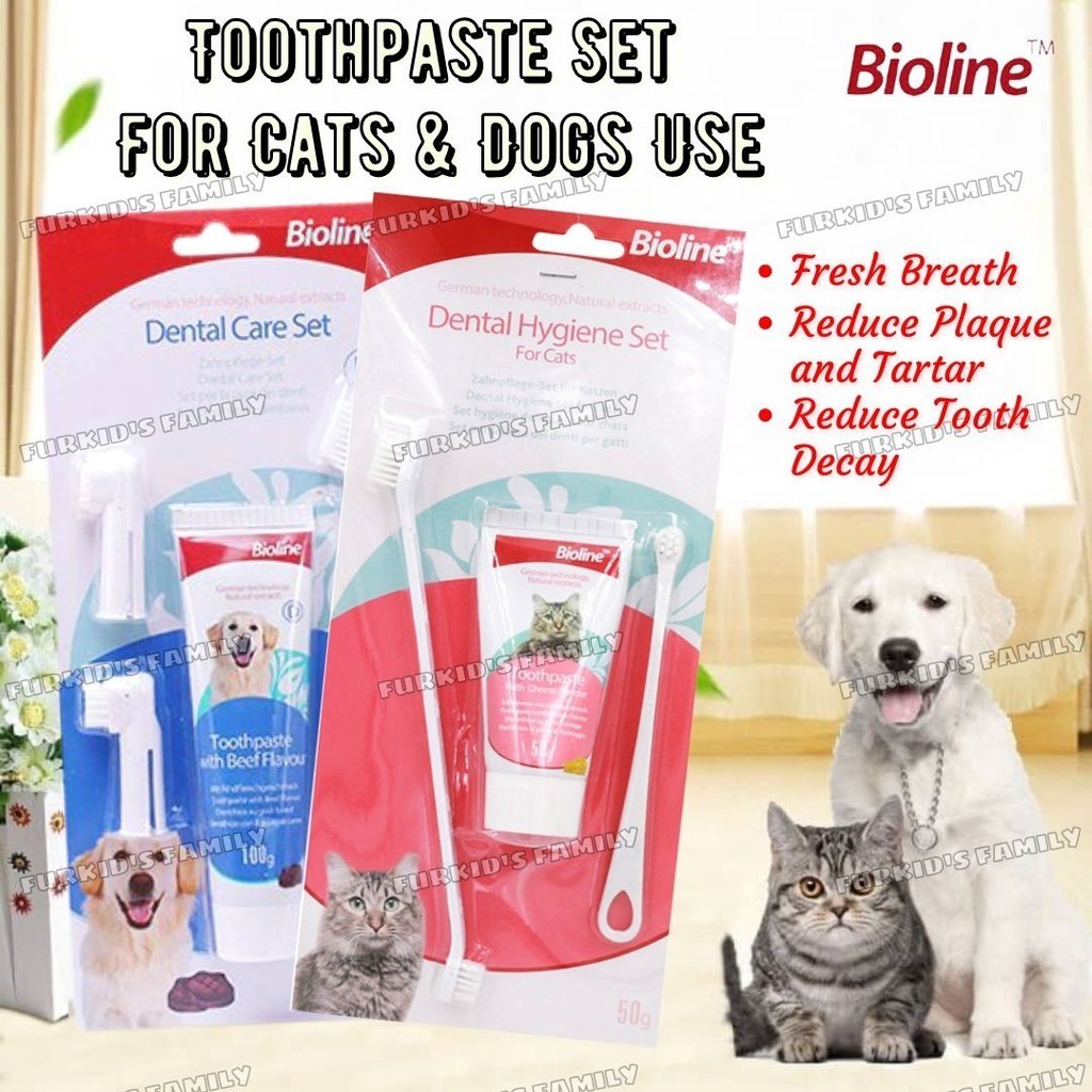 Bioline ToothPaste Dental Care Gel For Dogs & Cats - Dental Hygiene Kit ...
