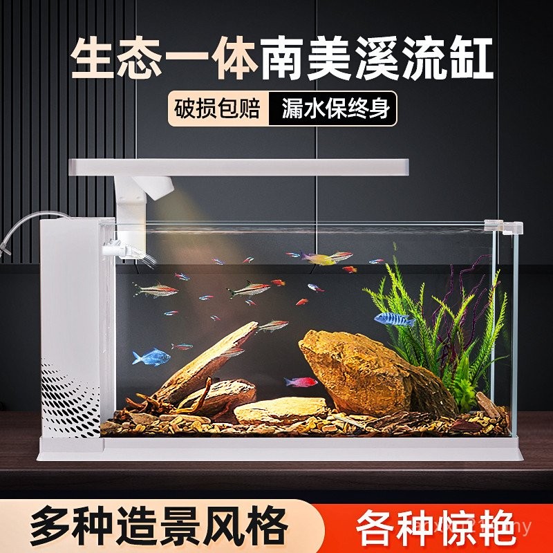 Ultra White Glass Side Filter Fish Tank South American Style Self ...