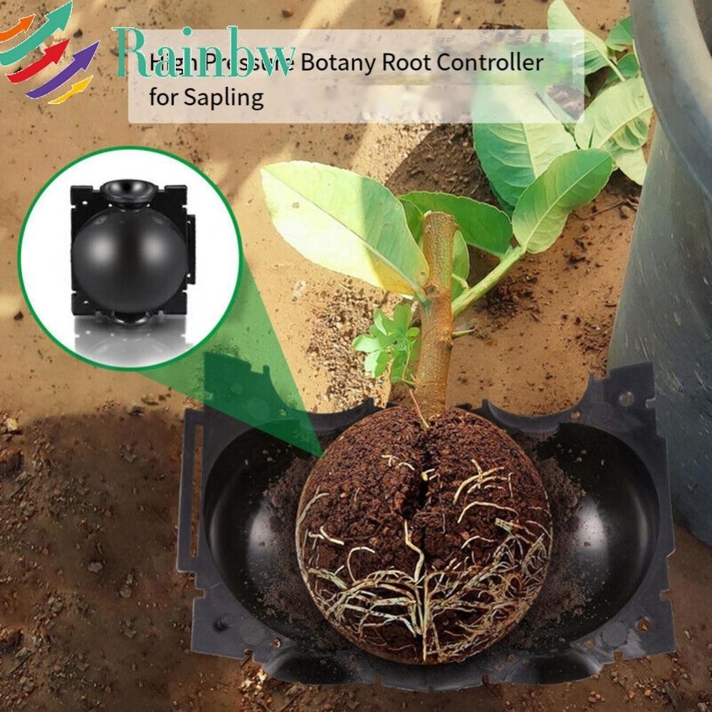 20PCS Garden tree high pressure propagation box graft plant rooting ...
