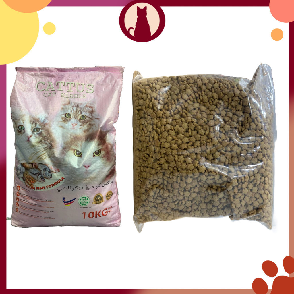 🐾 CATTUS REPACK 1KG CAT FOOD 🐾 | Shopee Malaysia